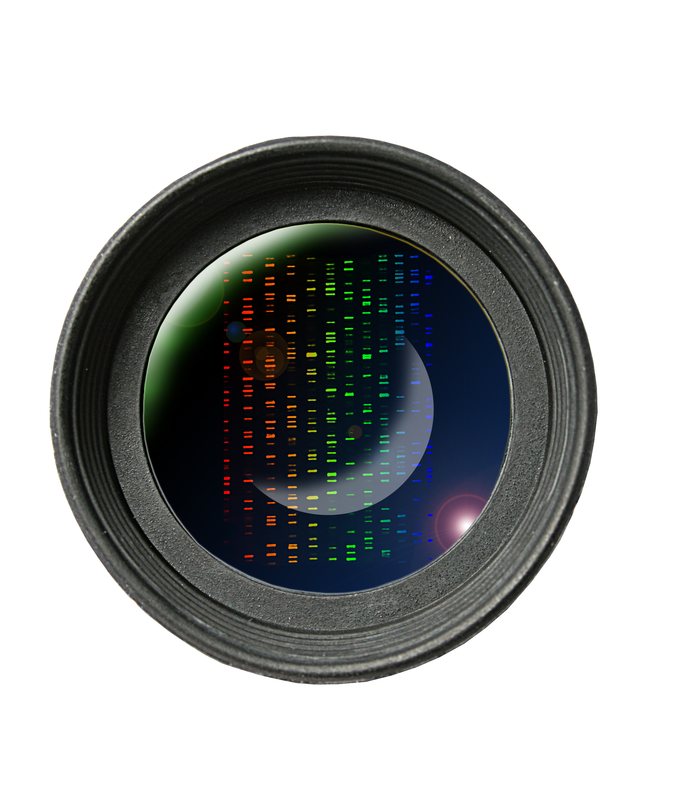 BACHES Echelle-Spectrograph - English